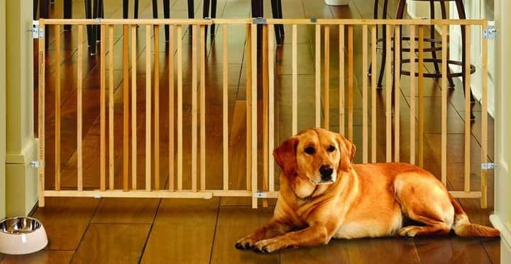 60 inch Pet Gate [Best Price and Comparison 2025]