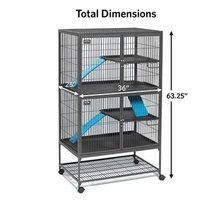 The 10 Best Rat Cages of 2026 | Multi-Level, Chew-Proof Habitats