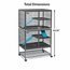 The 10 Best Rat Cages of 2026 | Multi-Level, Chew-Proof Habitats