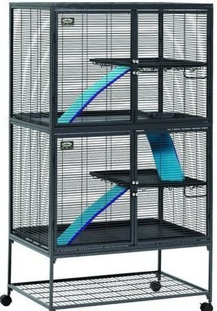 The 10 Best Rat Cages of 2026 | Multi-Level, Chew-Proof Habitats