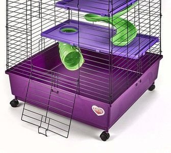 The 10 Best Rat Cages of 2026 | Multi-Level, Chew-Proof Habitats